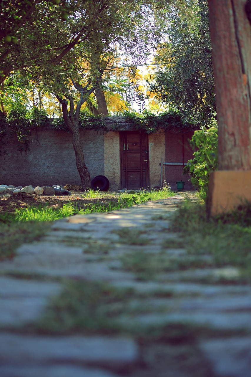 Path Halaman Jalur - Foto gratis di Pixabay - Pixabay