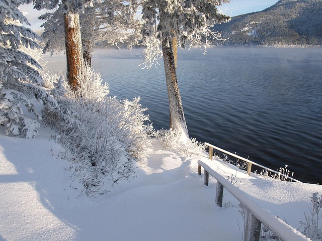 Sunny Winter Day Snow - Free photo on Pixabay