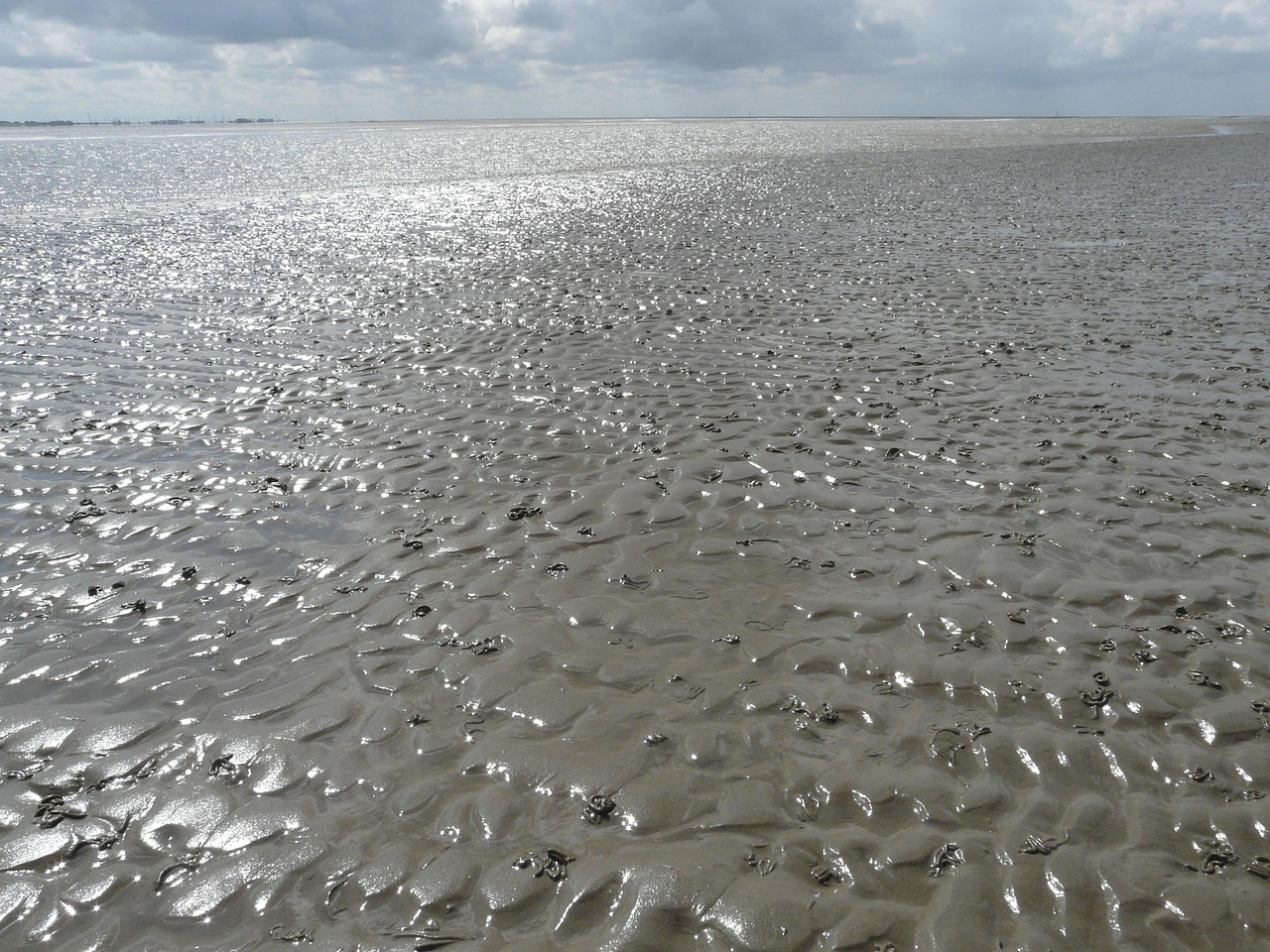 Wattenmeer Watt Nordsee · Kostenloses Foto auf Pixabay