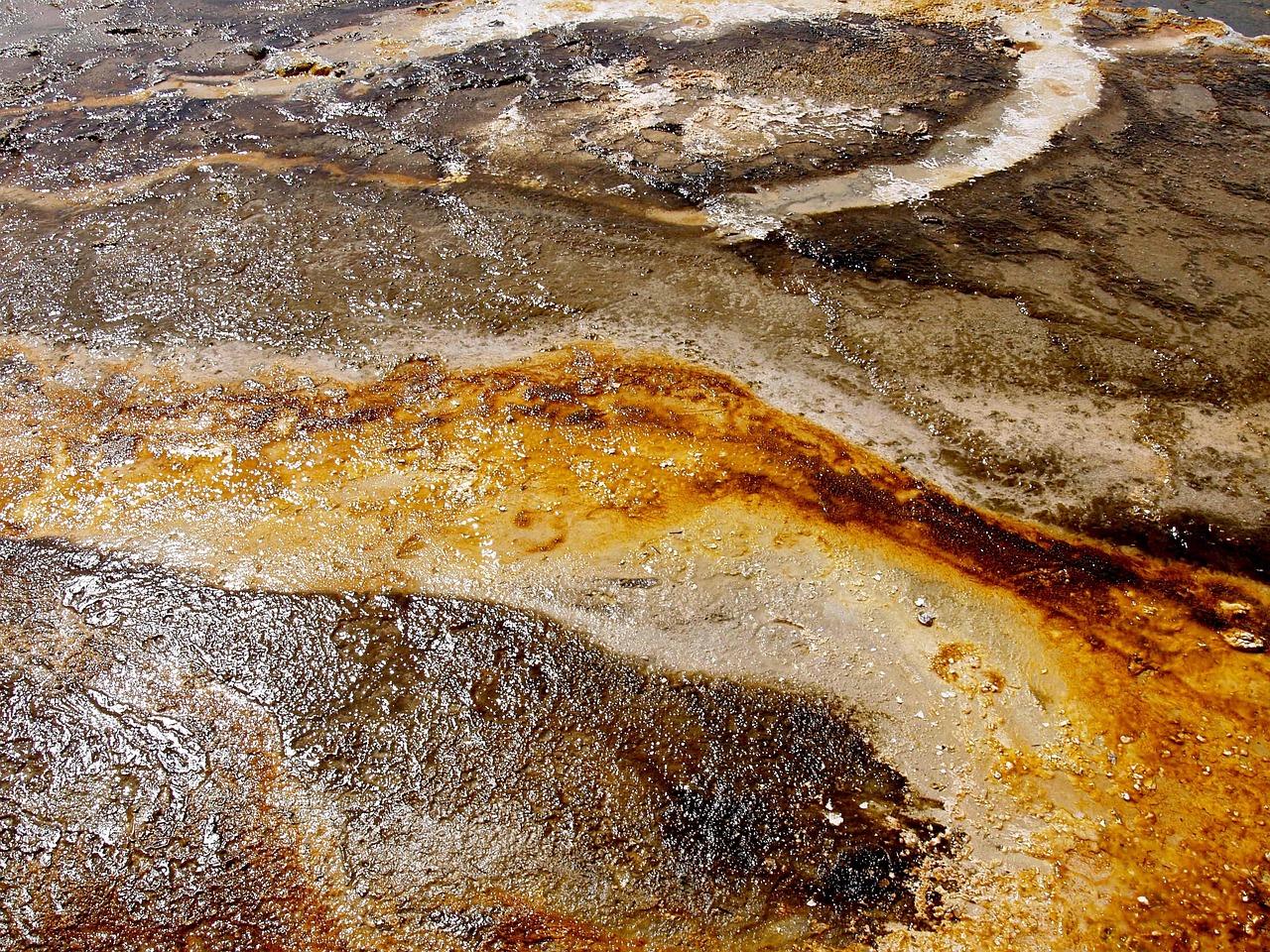 Parque Nacional Yellowstone - Foto gratuita no Pixabay - Pixabay