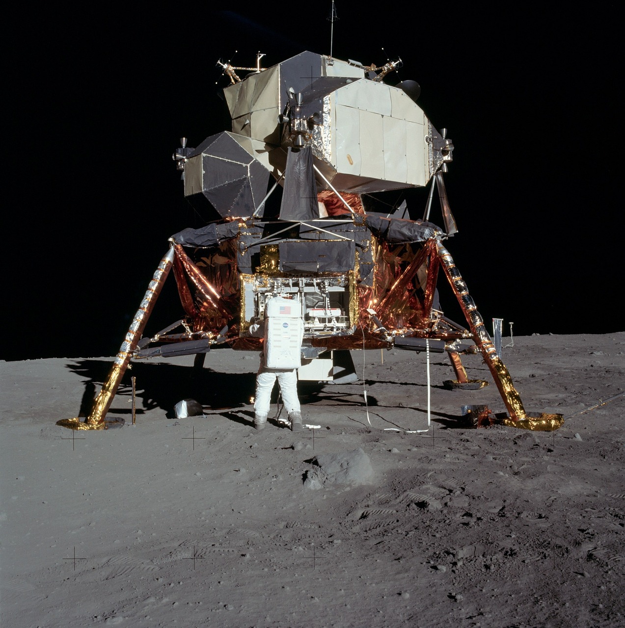 6 Buzz Aldrin Pixabay