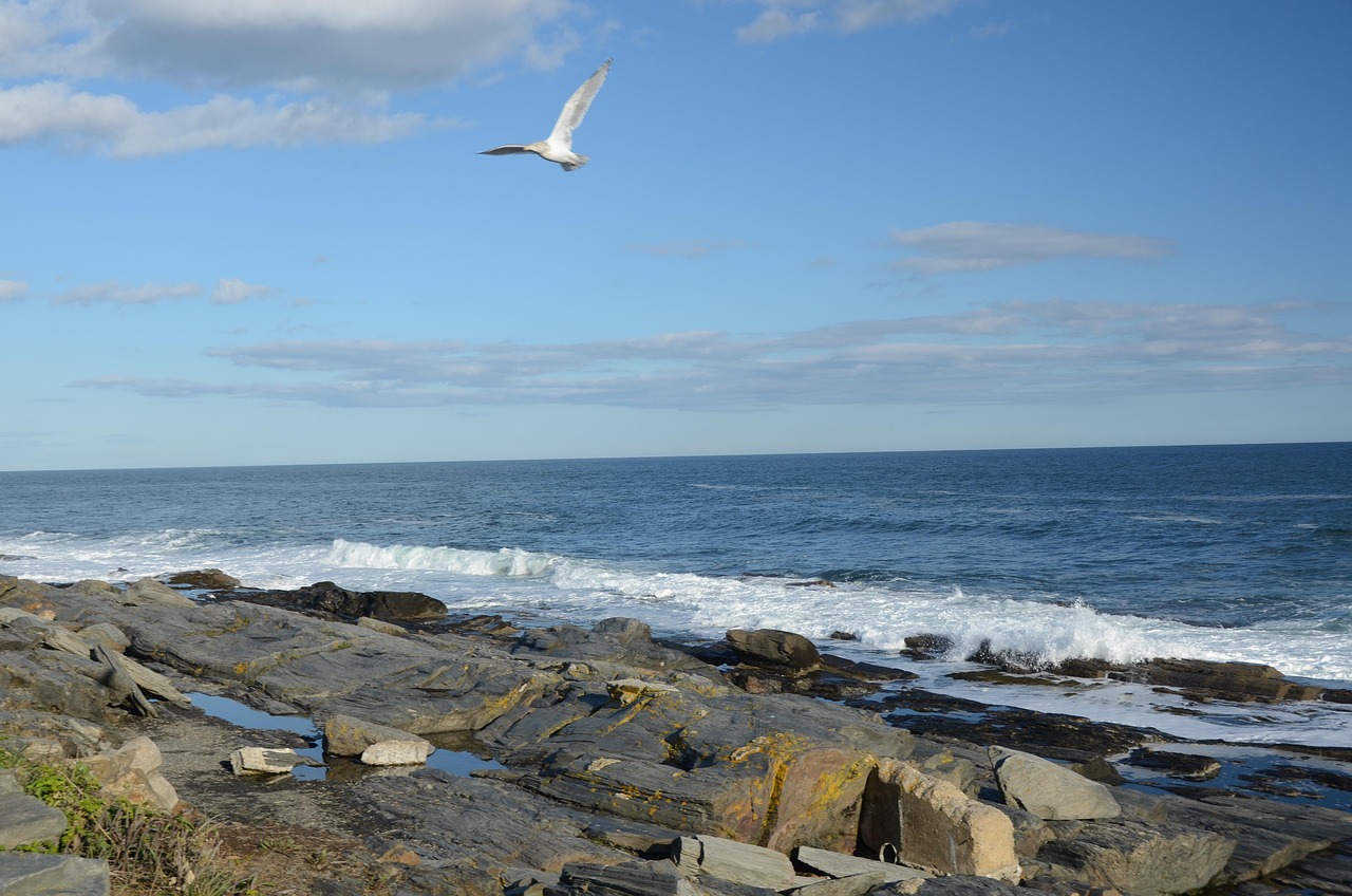 100+ Free Rocky Shoreline & Shoreline Images - Pixabay