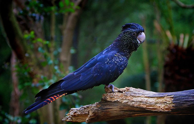 7,000+ Free Australia & Sydney Images
