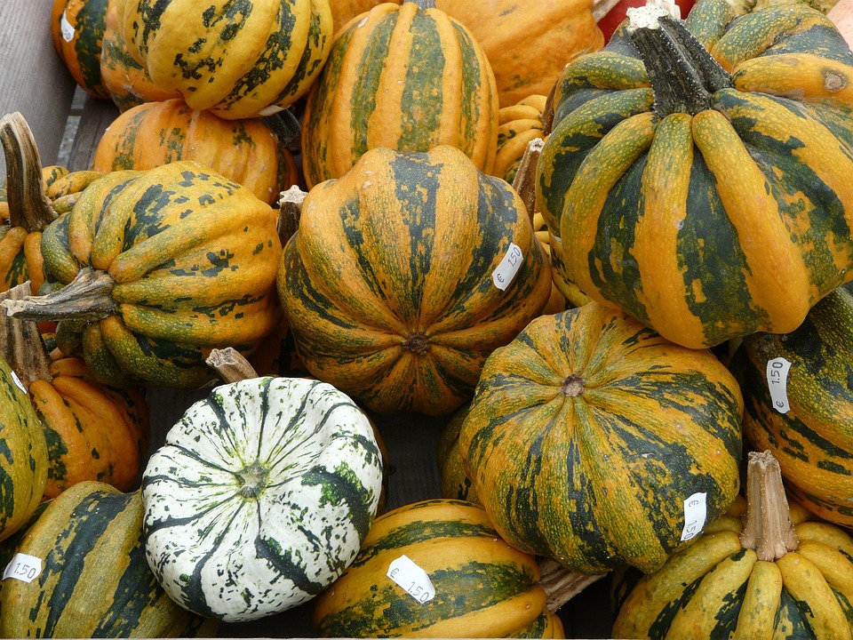 Calabazas Gigantes Calabaza Estilo - Foto gratis en Pixabay