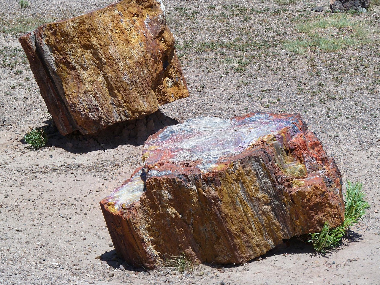 Parque Nacional De La Madera Petrificada Los Bosques De Piedra
