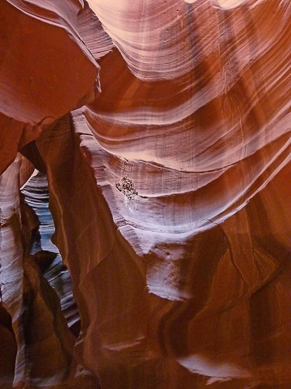20+ Free Desert Upper & Arizona Images - Pixabay