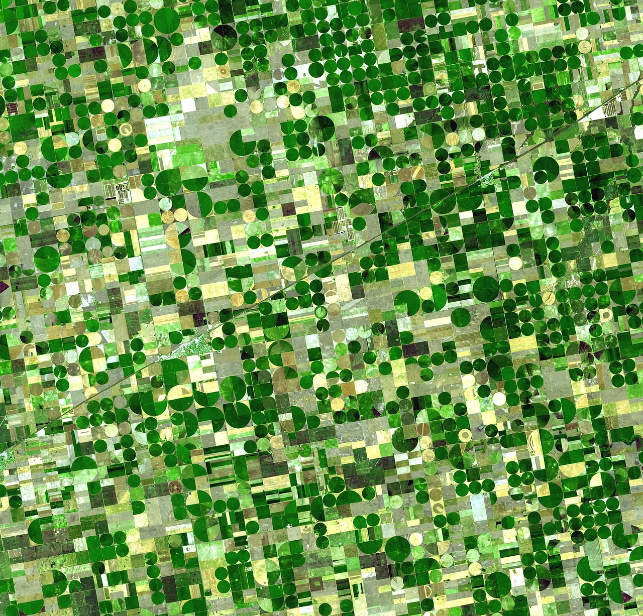 Field Cultivation Fields - Free photo on Pixabay