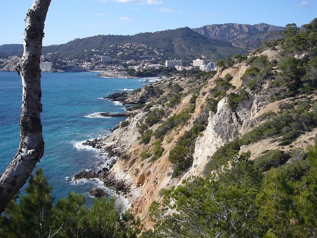 Mallorca Bay Ocean - Free photo on Pixabay - Pixabay