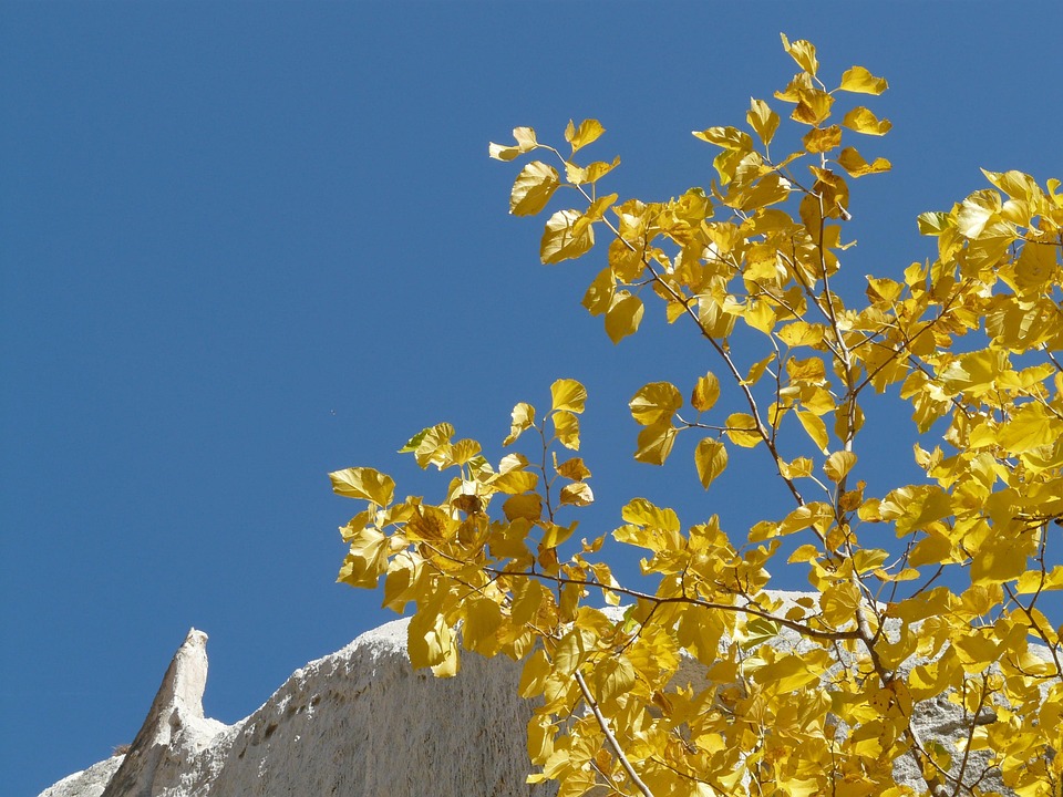 Valley Of Roses Cappadocia Tufa - Free photo on Pixabay - Pixabay