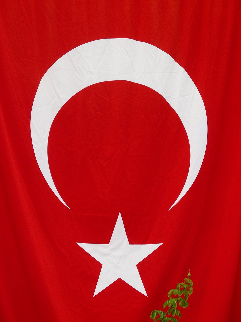 200+ Free Turkey Flag & Turkey Images - Pixabay