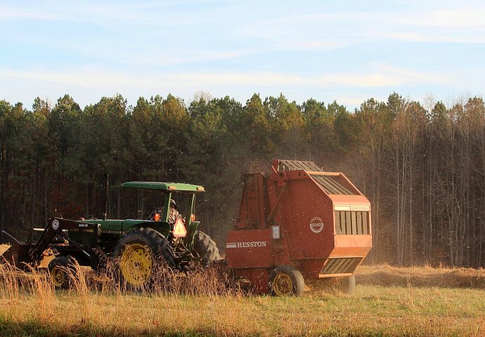 20+ Free Chaff & Husk Photos - Pixabay