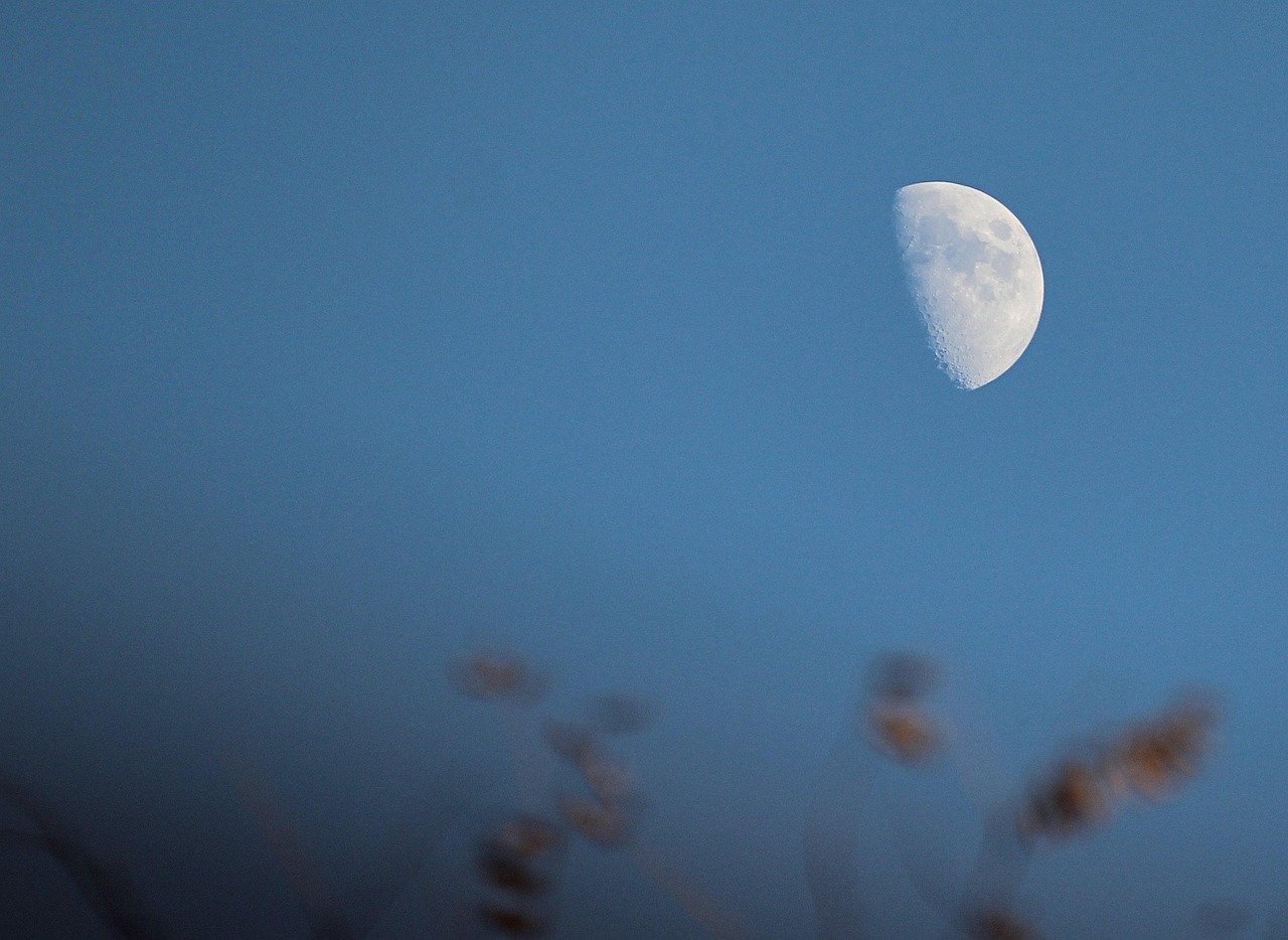 Half Moon Lunar Luna - Free photo on Pixabay - Pixabay