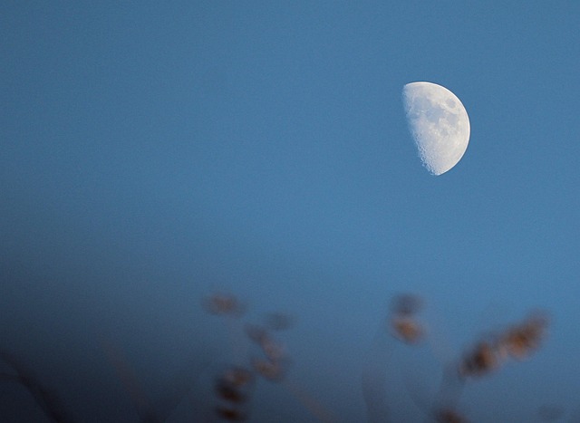 Half Moon Lunar Luna - Free photo on Pixabay - Pixabay