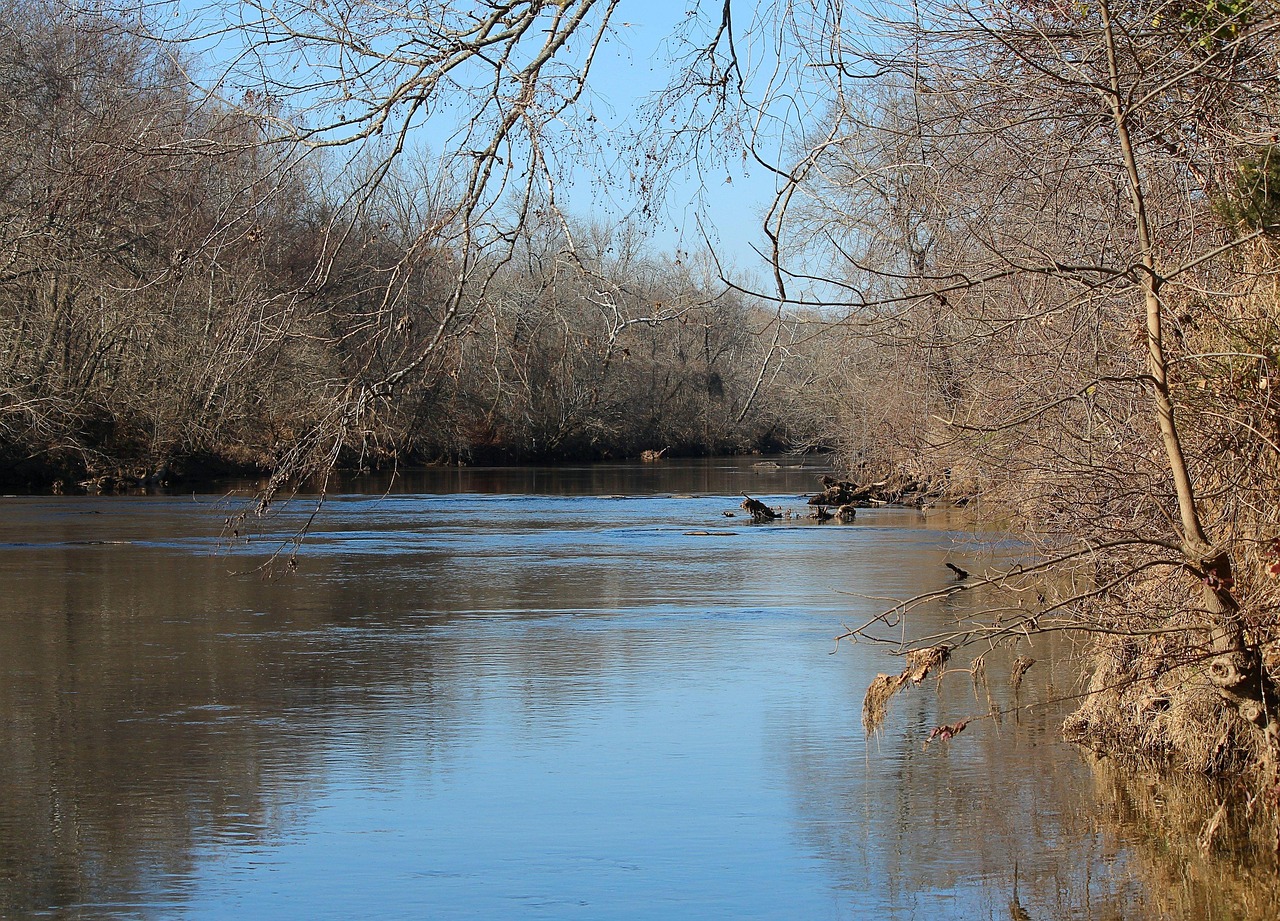 70,000+ Free River-Bank & River Bank Images - Pixabay