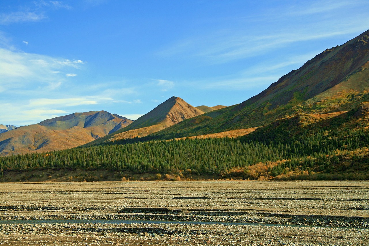 Free Photo Alaska Wilderness