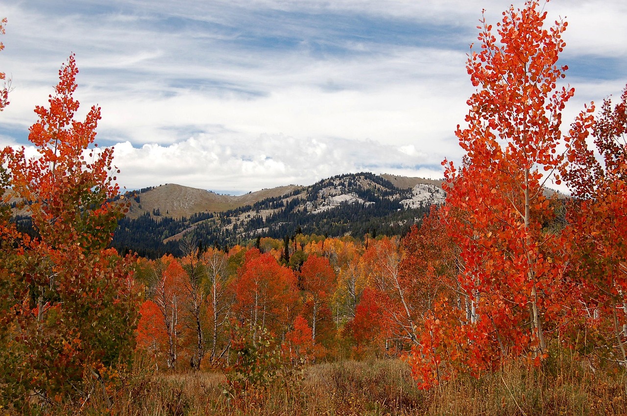 1,000+ Free Colorado Mountains & Colorado Images - Pixabay