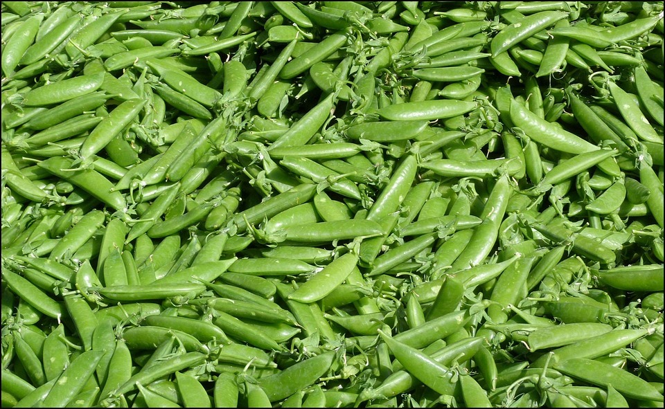 Beans Vegetables Green - Free photo on Pixabay - Pixabay