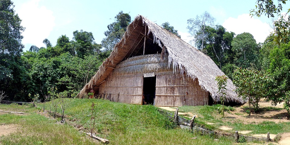 Brazil Rainforest Nature - Free photo on Pixabay