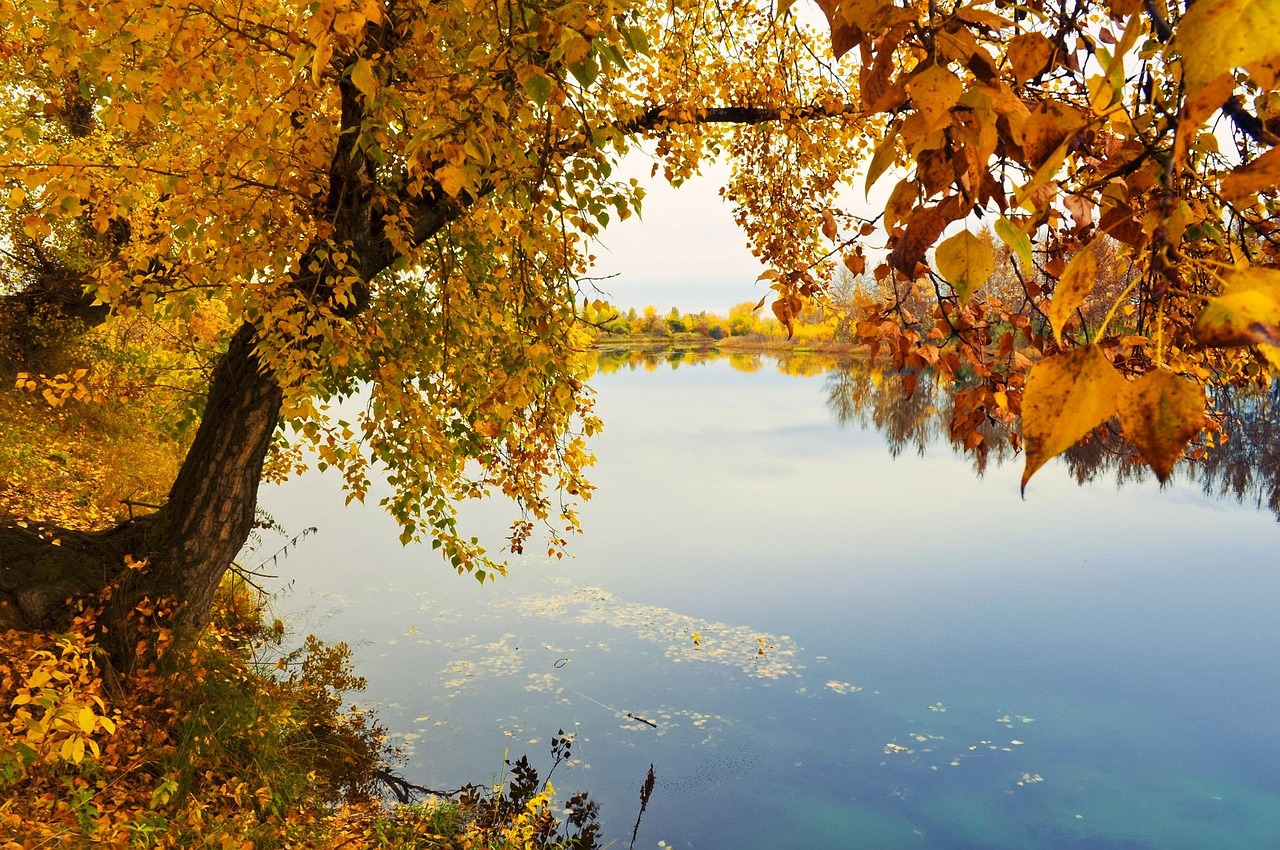 River Nature Landscape - Free photo on Pixabay