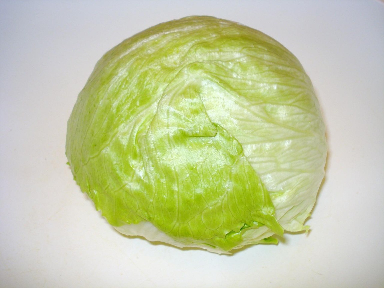 Salad Iceberg Lettuce Head Of - Free photo on Pixabay - Pixabay