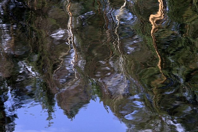 Water Reflections Free Photo On Pixabay