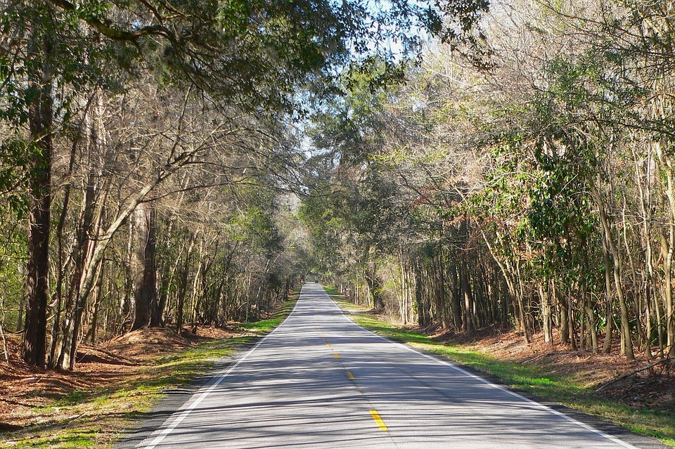 South Carolina Country Countryside Free Photo On Pixabay South Carolina Country Countryside Free Photo On Pixabay