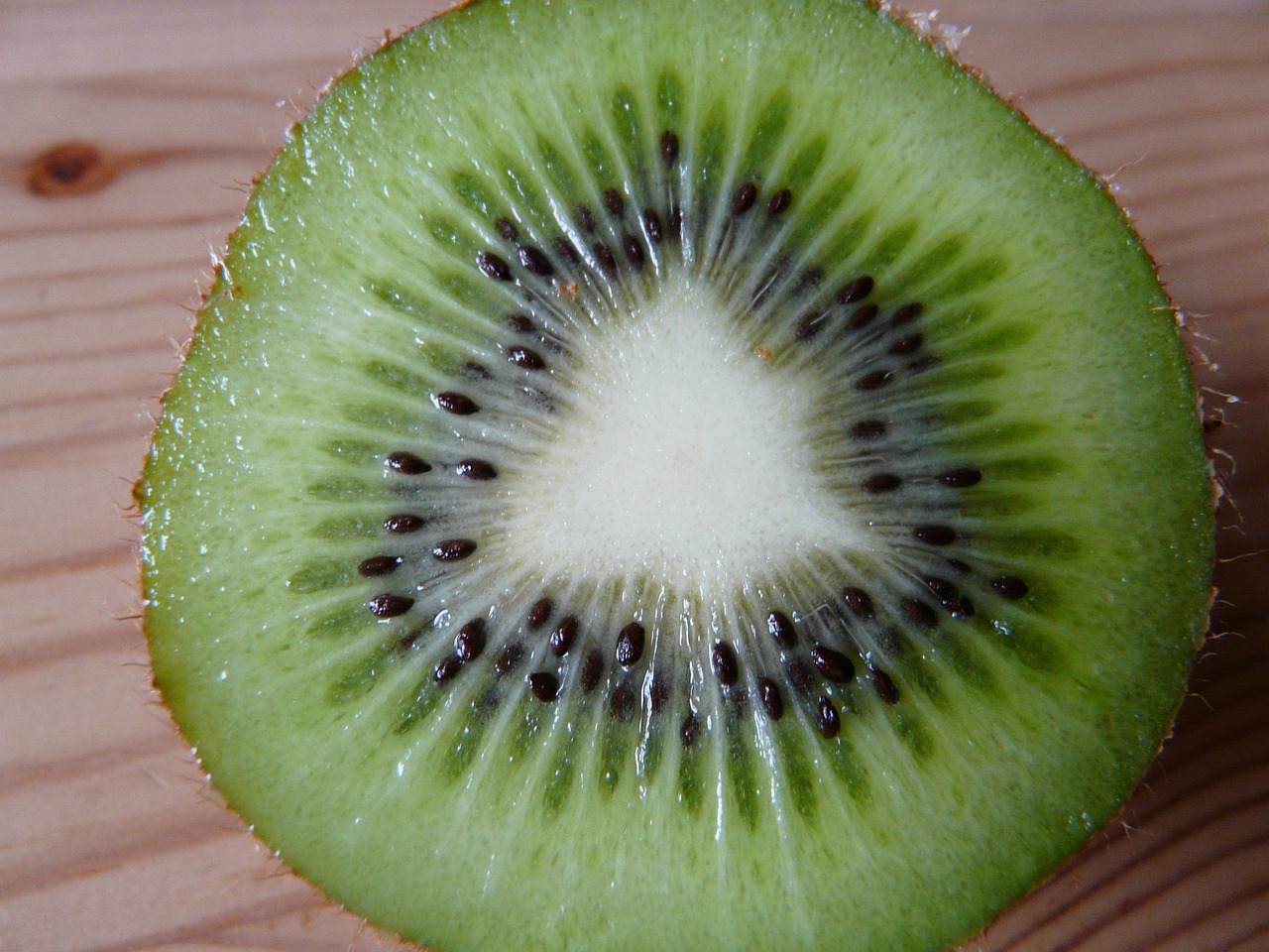 Page 3 - 400,000+ Free Kiwi Background & Kiwi Images - Pixabay
