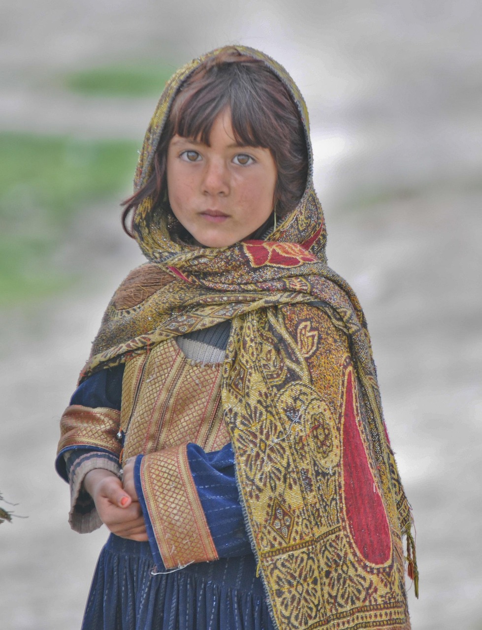 300+ Free Concerned & Concern Images - Pixabay
