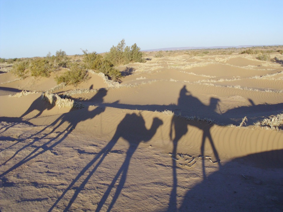 Sahara Morocco Desert - Free photo on Pixabay