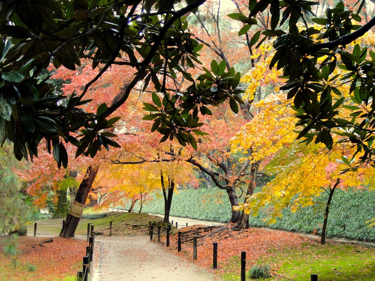 Okayama Japan Park - Free photo on Pixabay