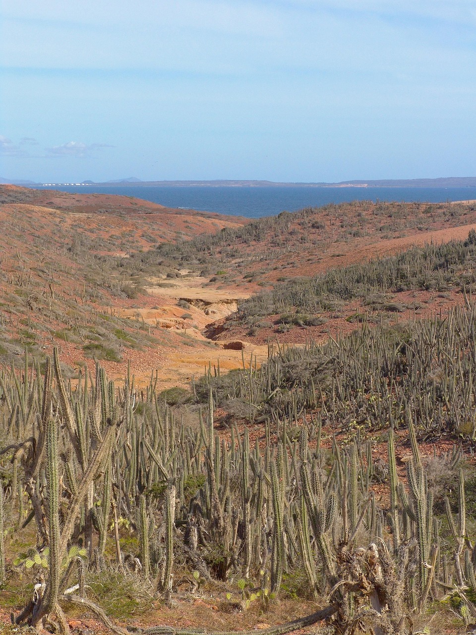 Más de 60 imágenes gratis de Paisajes Venezuela y Venezuela - Pixabay