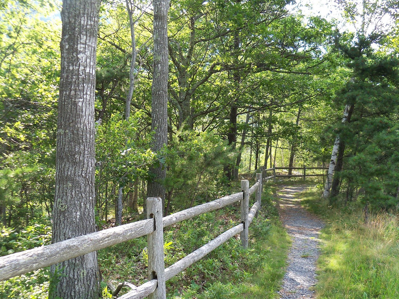 Weg Wege Pfad - Kostenloses Foto auf Pixabay
