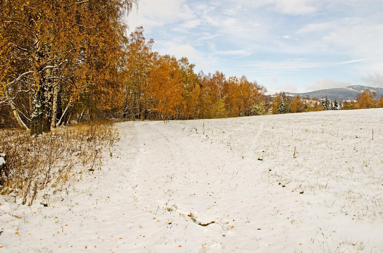 Winter Season Snow Landscape - Free photo on Pixabay - Pixabay
