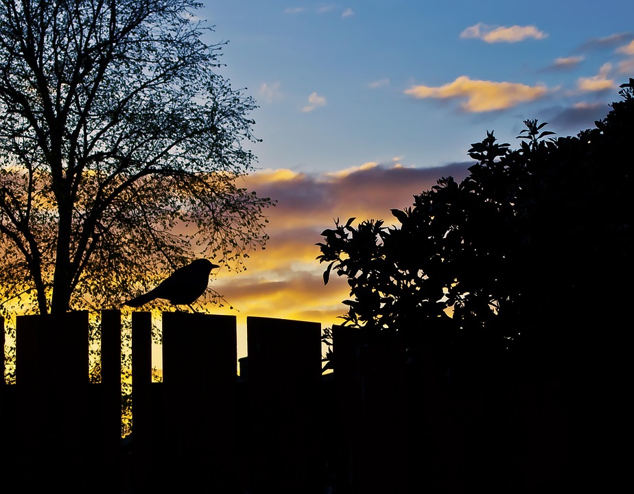 Le Coucher Du Soleil Printemps - Photo gratuite sur Pixabay