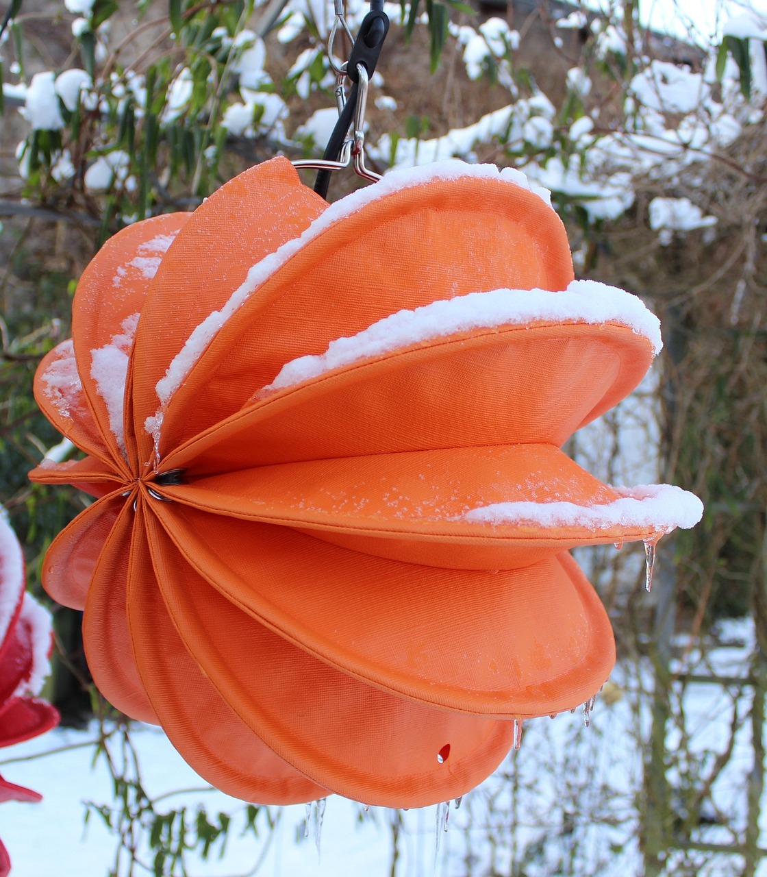 Lampion Weatherproof Robust - Free photo on Pixabay - Pixabay