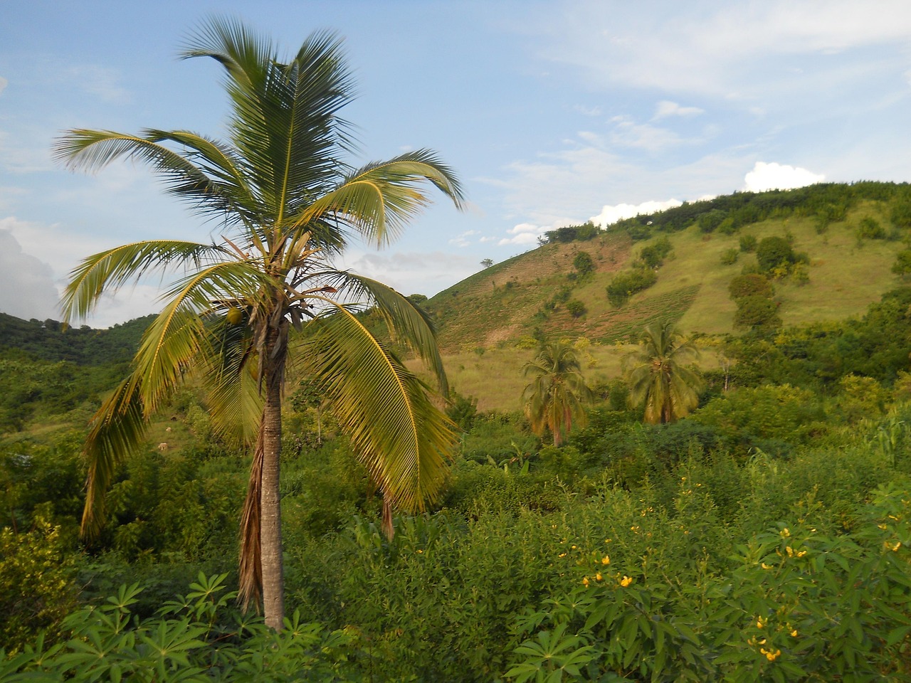 50,000+ Free Haiti Landscape & Haiti Images - Pixabay