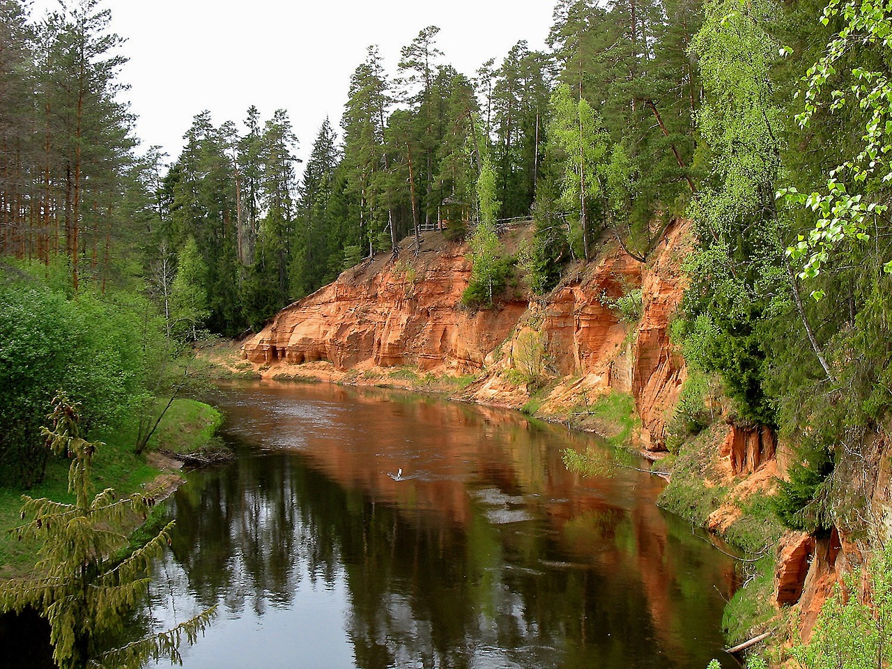 Autumn Latvia Nature Free Photo On Pixabay Pixabay Autumn Latvia Nature Free Photo On Pixabay Pixabay