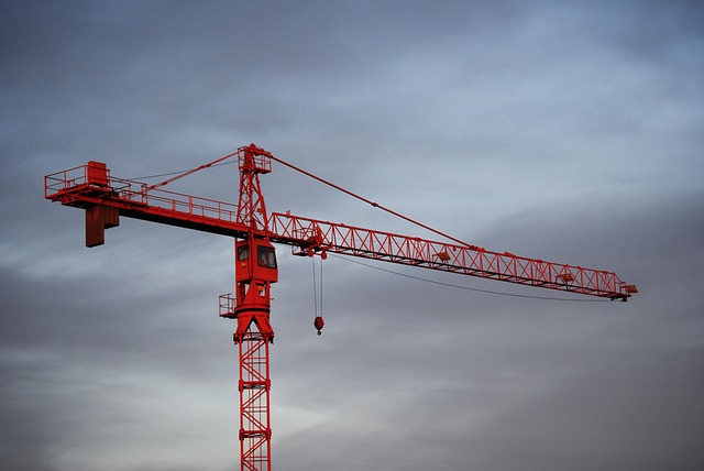 Crane Red - Free photo on Pixabay