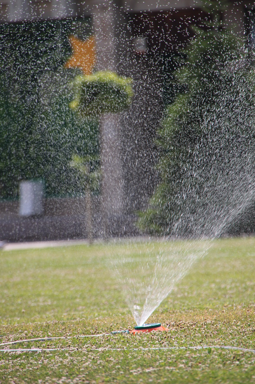 100+ Free Sprinkler & Irrigation Photos - Pixabay
