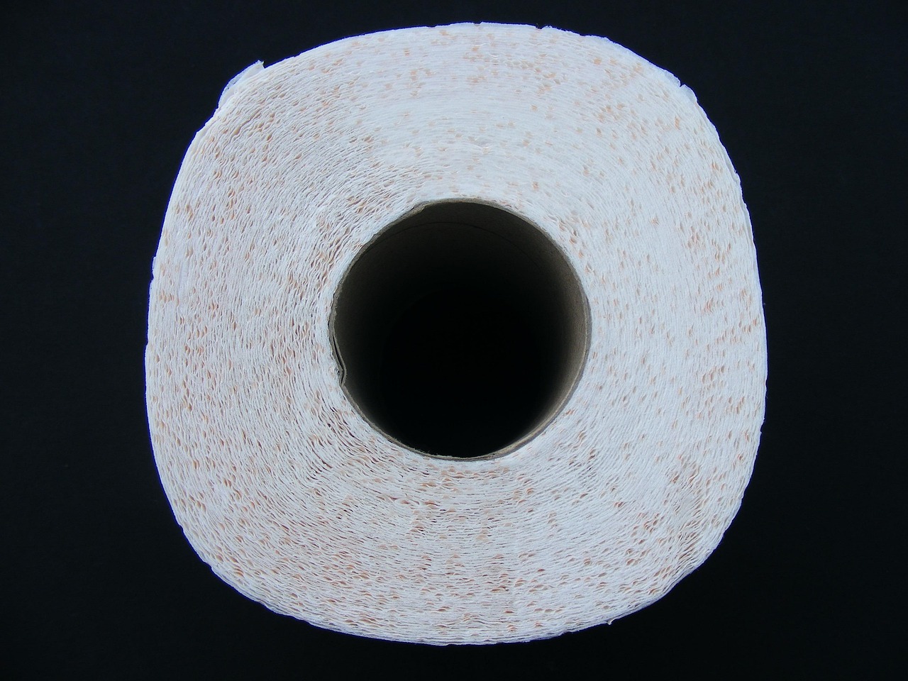 200+ Free Toilet-Paper & Toilet Paper Images - Pixabay