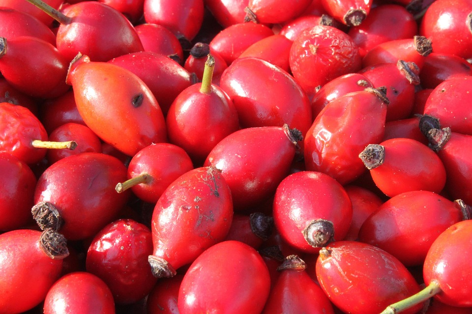 Antioxidants Close-Up Fatty Acids - Free photo on Pixabay