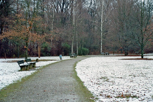 Parque Sendero Rutas De Senderismo - Foto gratis en Pixabay - Pixabay