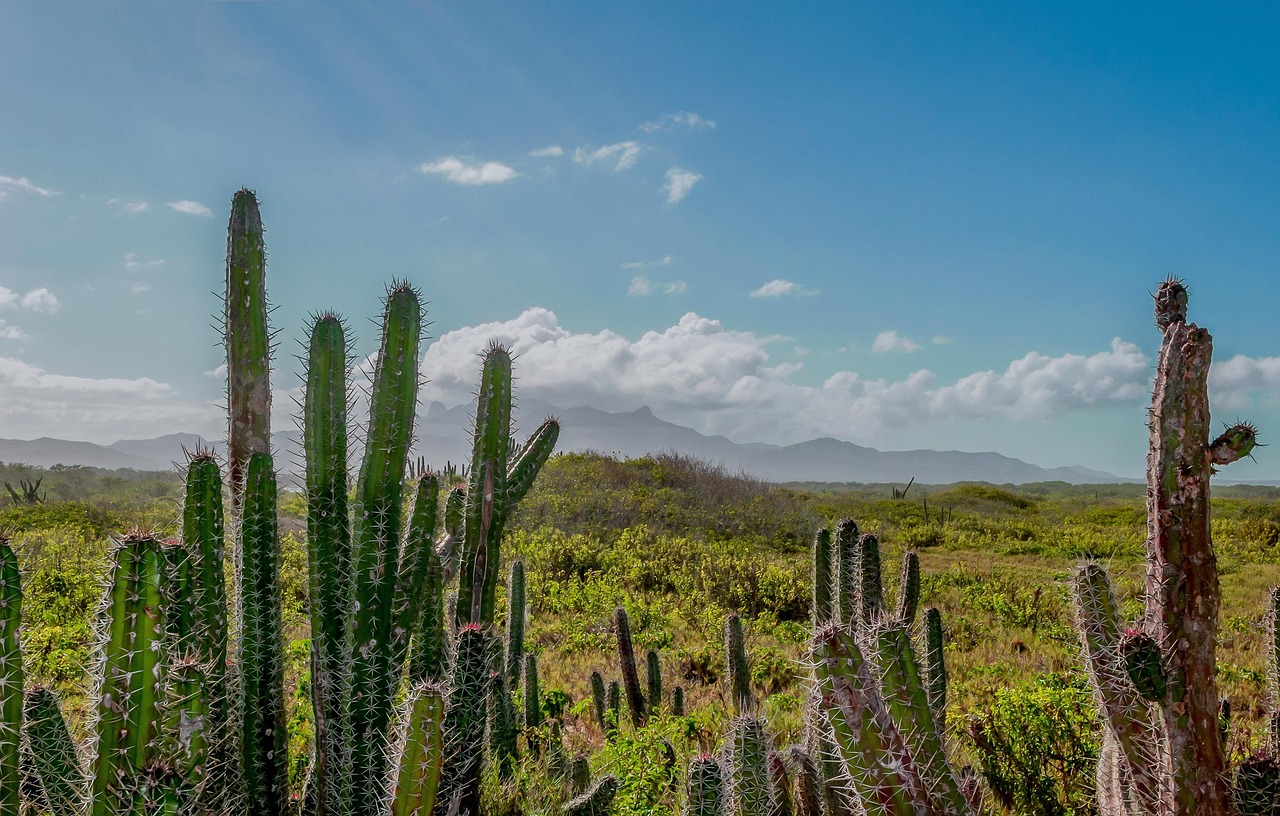 Venezuela Mountains Sky - Free photo on Pixabay