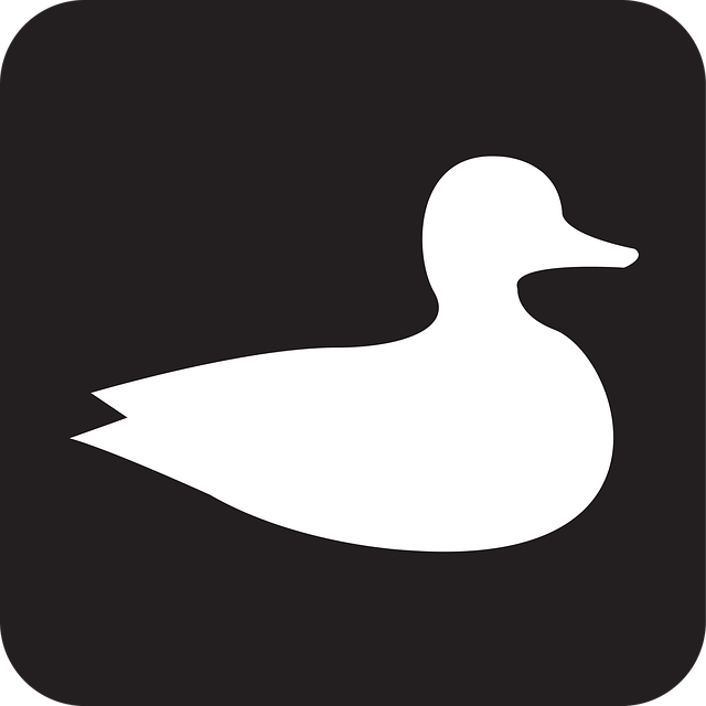 20,000+ Free Duck Sign & Duck Images - Pixabay