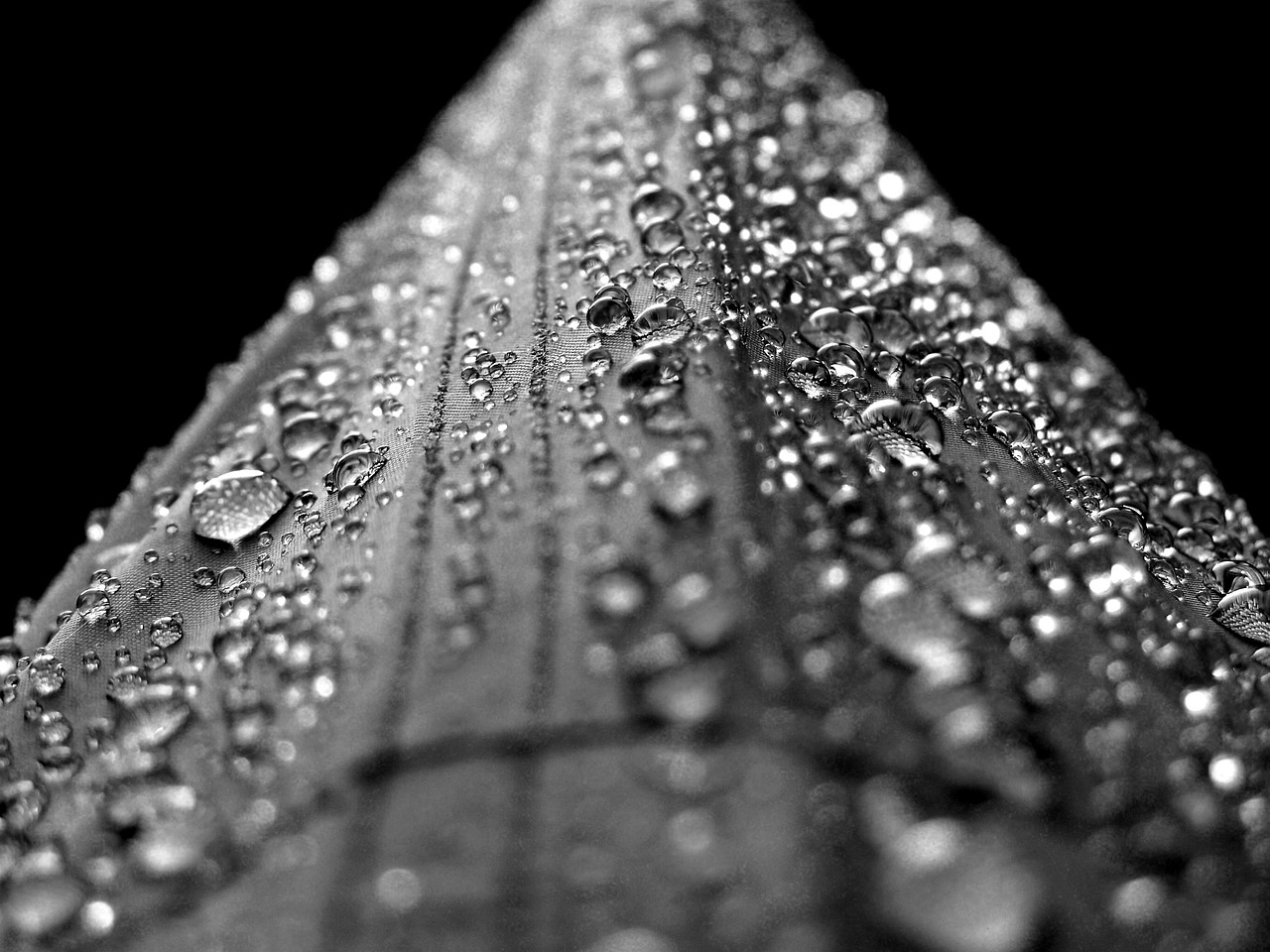 900+ Free Dripping Water & Water Images - Pixabay