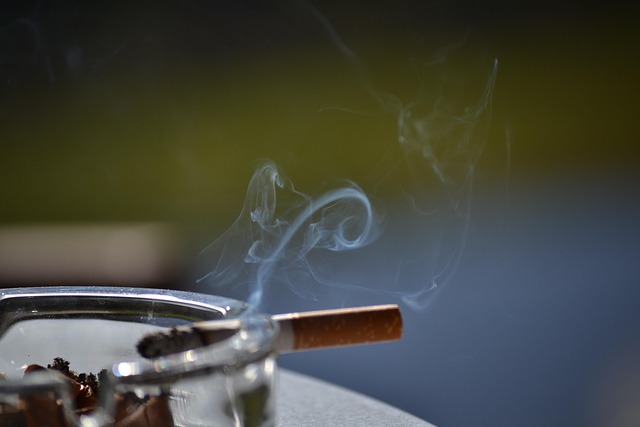 Tobacco Smoke To Cigar - Free photo on Pixabay - Pixabay