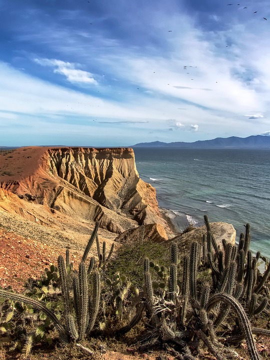 Venezuela Sea Ocean - Free photo on Pixabay
