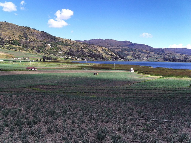 Columbia Landscape Scenic - Free photo on Pixabay