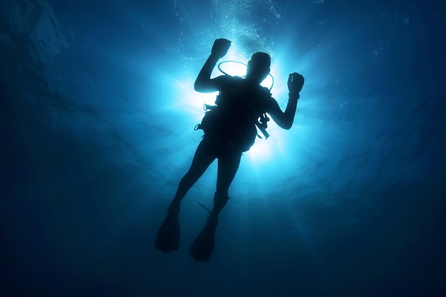 600+ Free Diver & Diving Images - Pixabay