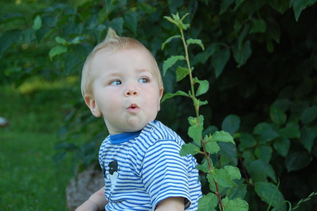 Dzieci Dziecko Portret - Darmowe zdjęcie na Pixabay - Pixabay